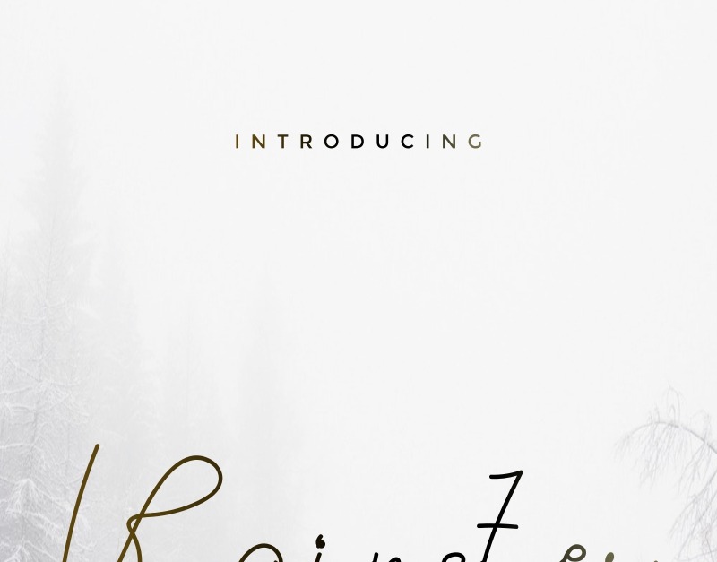 Rainster Font #100050 - TemplateMonster