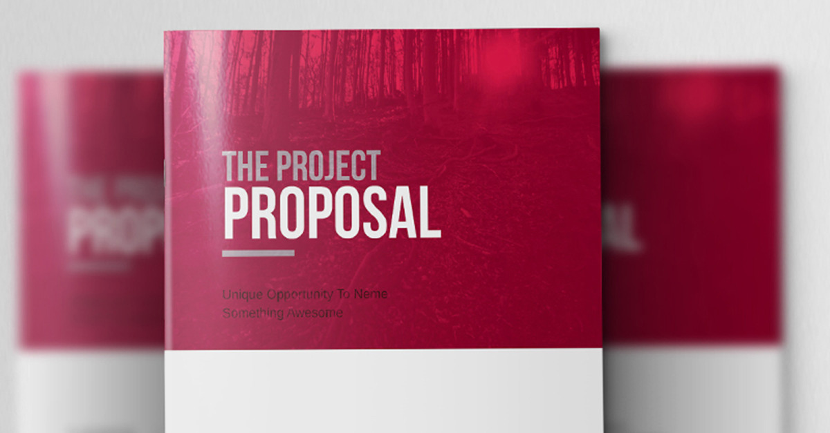 Dream Angle Corporate Project Proposal Resume Template