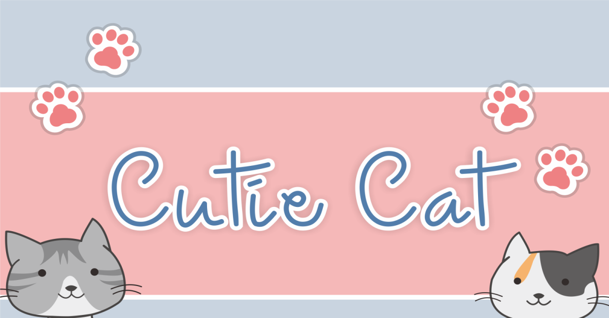 Cutie Cat Yazı Tipi #102381 - TemplateMonster