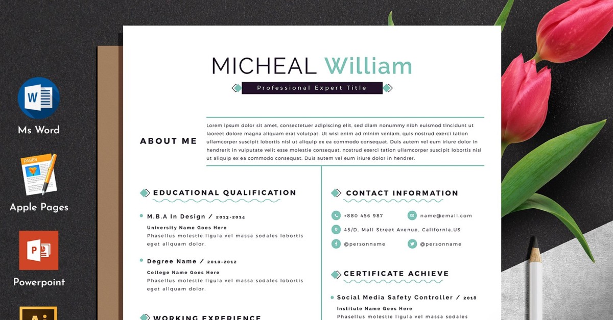 Clean & Professional Editable Word Apple Pages Cv Resume Template
