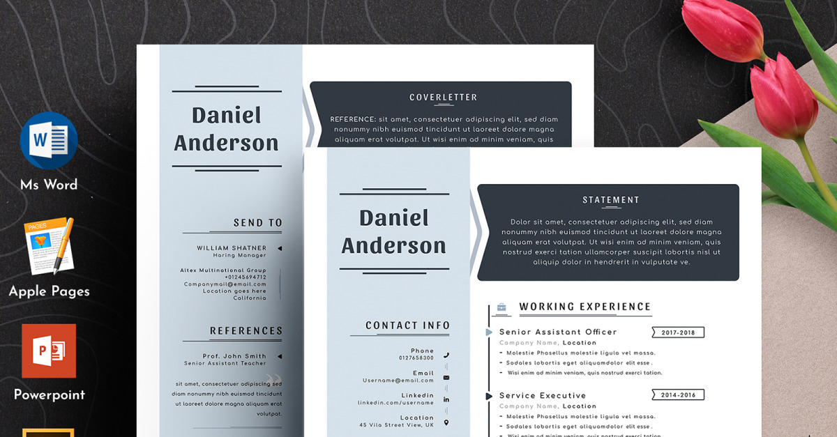 Clean & Professional Editable Word Apple Pages Cv Resume Template