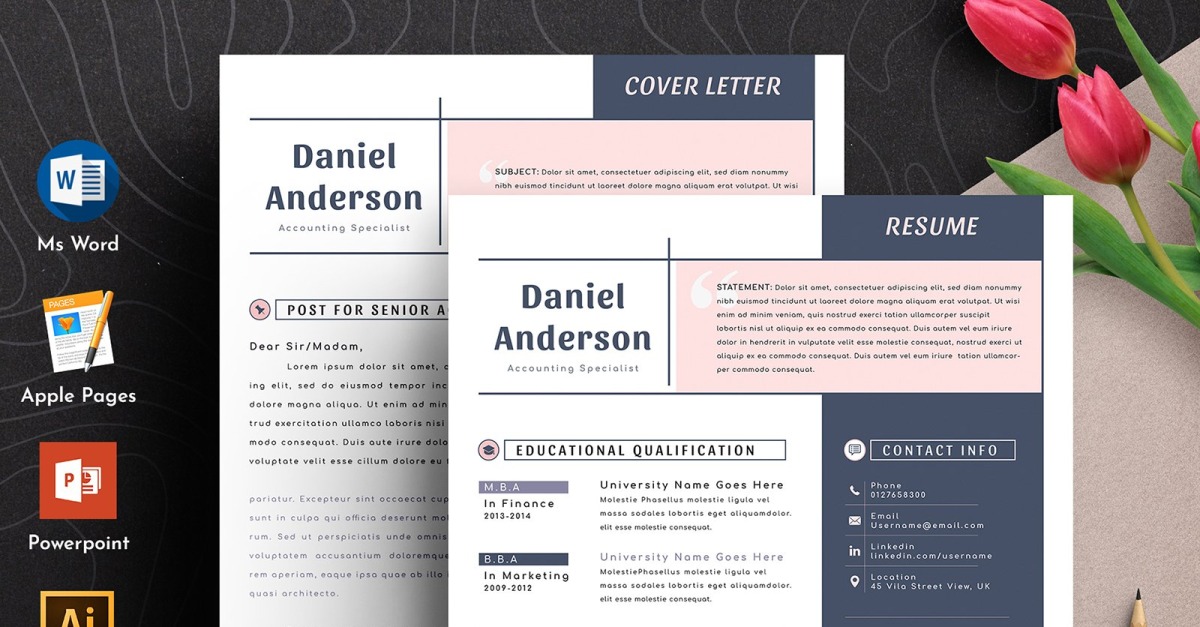Clean & Professional Editable Word Apple Pages Cv Resume Template