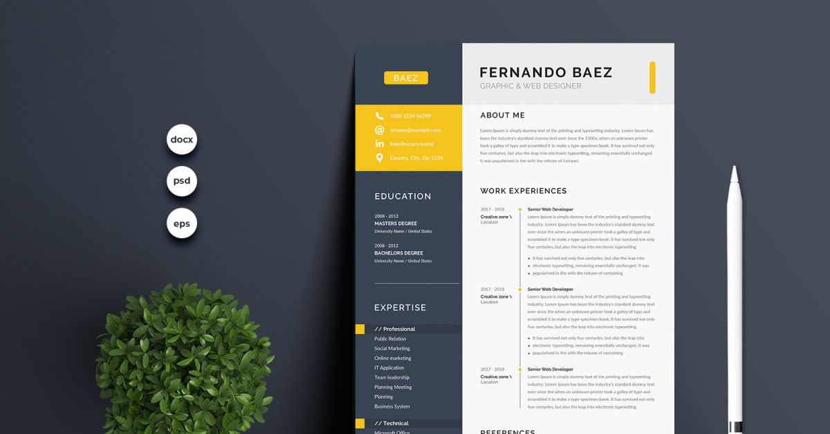Fernando Baez CV Resume Template #108967 - TemplateMonster