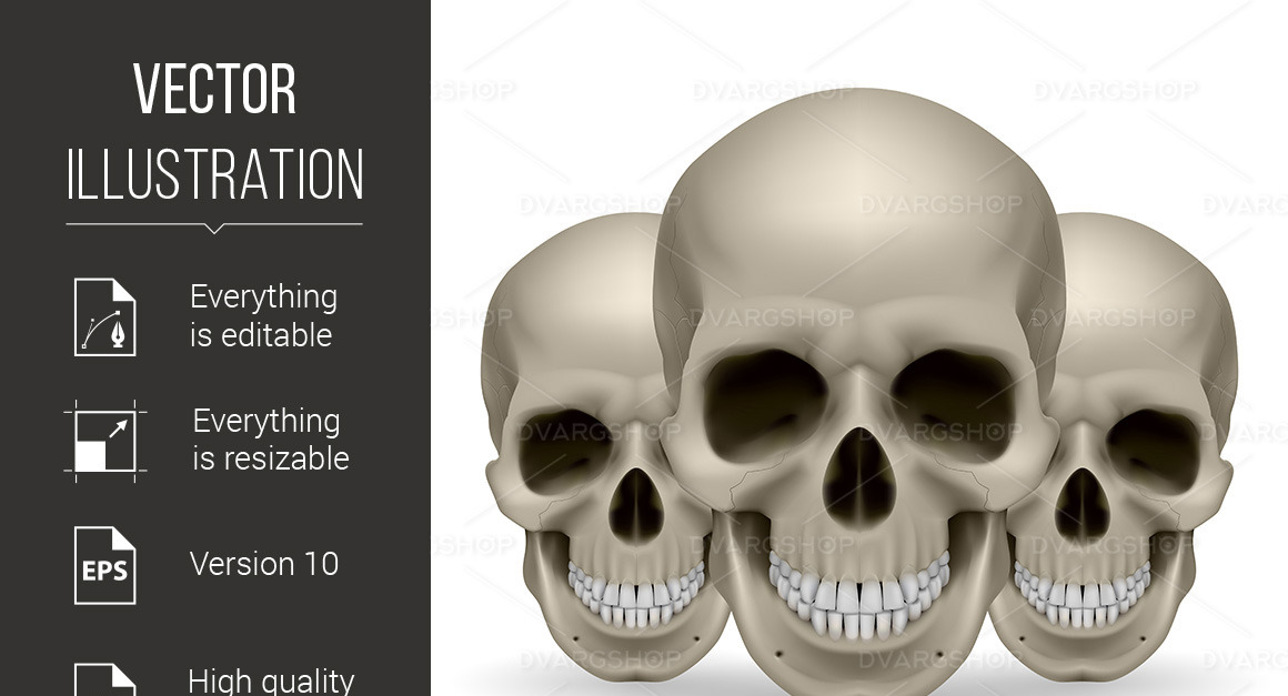 Three Skulls - Vector Image #118884 - TemplateMonster