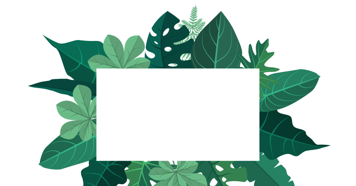 Rectangle Green Border - Illustration - TemplateMonster
