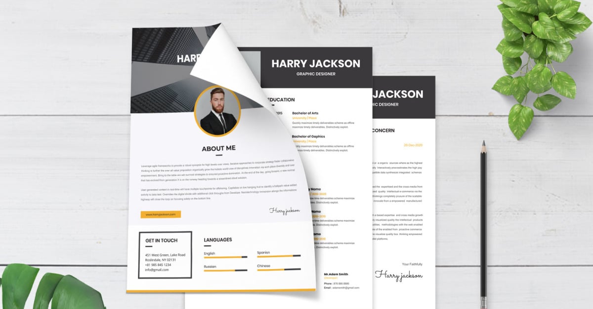 Minimal CV Resume Template #154029 - TemplateMonster