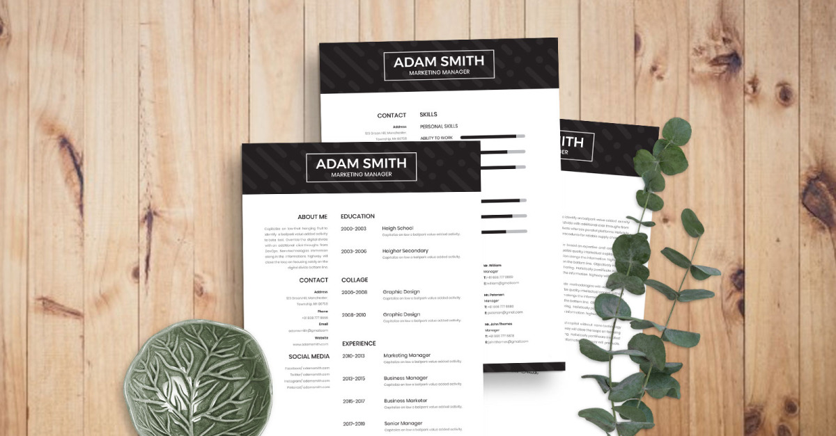 Minimal CV Resume Template #154034 - TemplateMonster