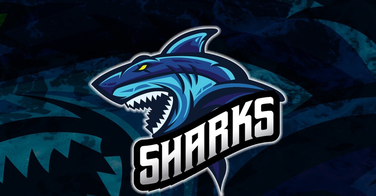 Modèle de logo de requins #156648 - TemplateMonster