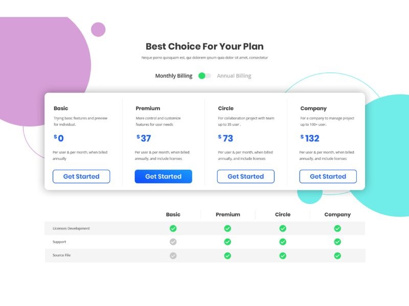 PT 12 Best Choice Plan UI Elements #161508 - TemplateMonster