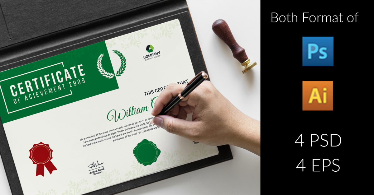 Primary School Certificate Template #162491 - TemplateMonster