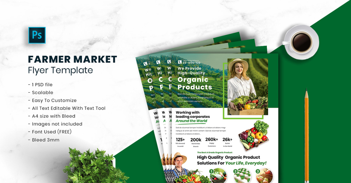 Farmer Market Flyer Template vol.15 #188520 - TemplateMonster