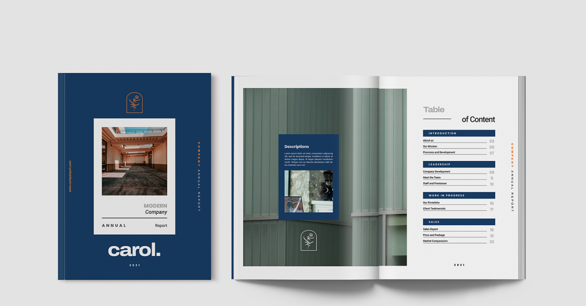 Carol Company Faaliyet Raporu Indesign - TemplateMonster