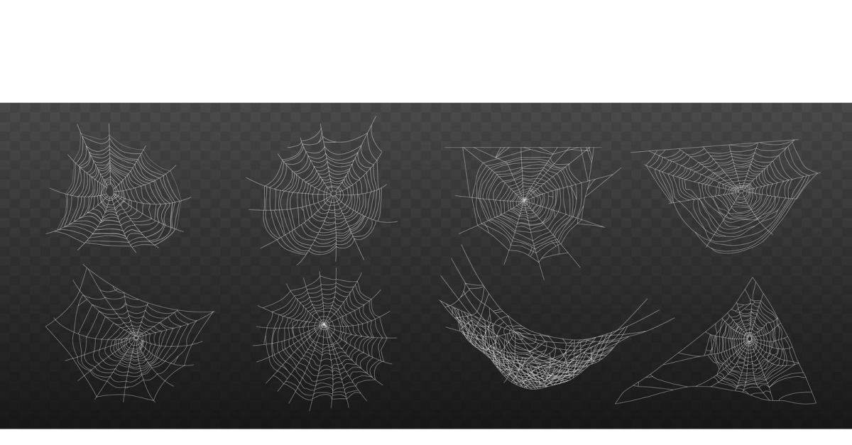 Realistic Cobweb Set Vector Illustration Concept