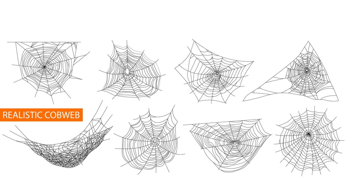 Realistic Cobweb Vector Illustration Concept