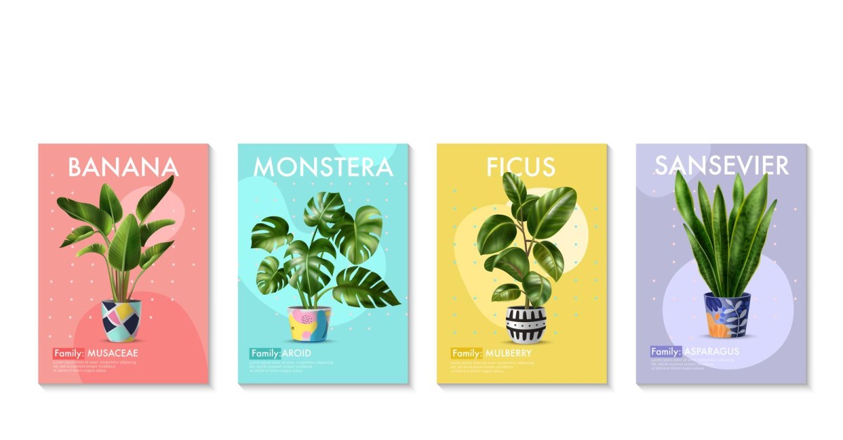 Realistic Green Home Plant Posters Vector Illustration Concept