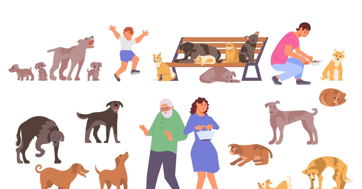 Homeless Animals Set Flat Vector Illustration Concept