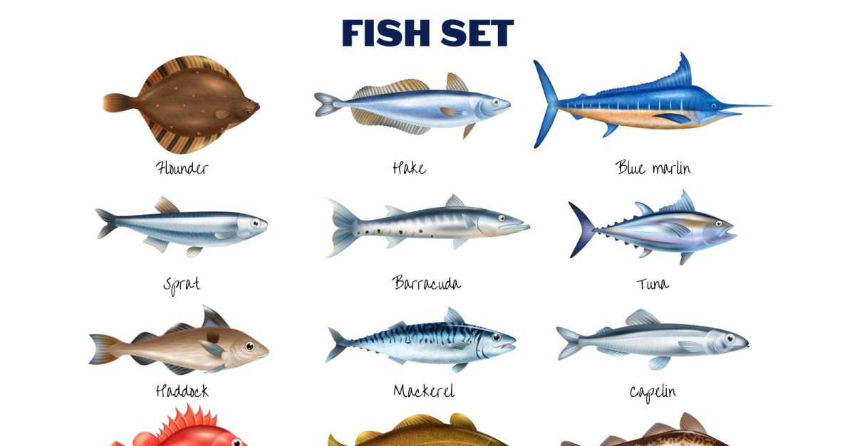 Realistic Fish Set Vector Illustration Concept