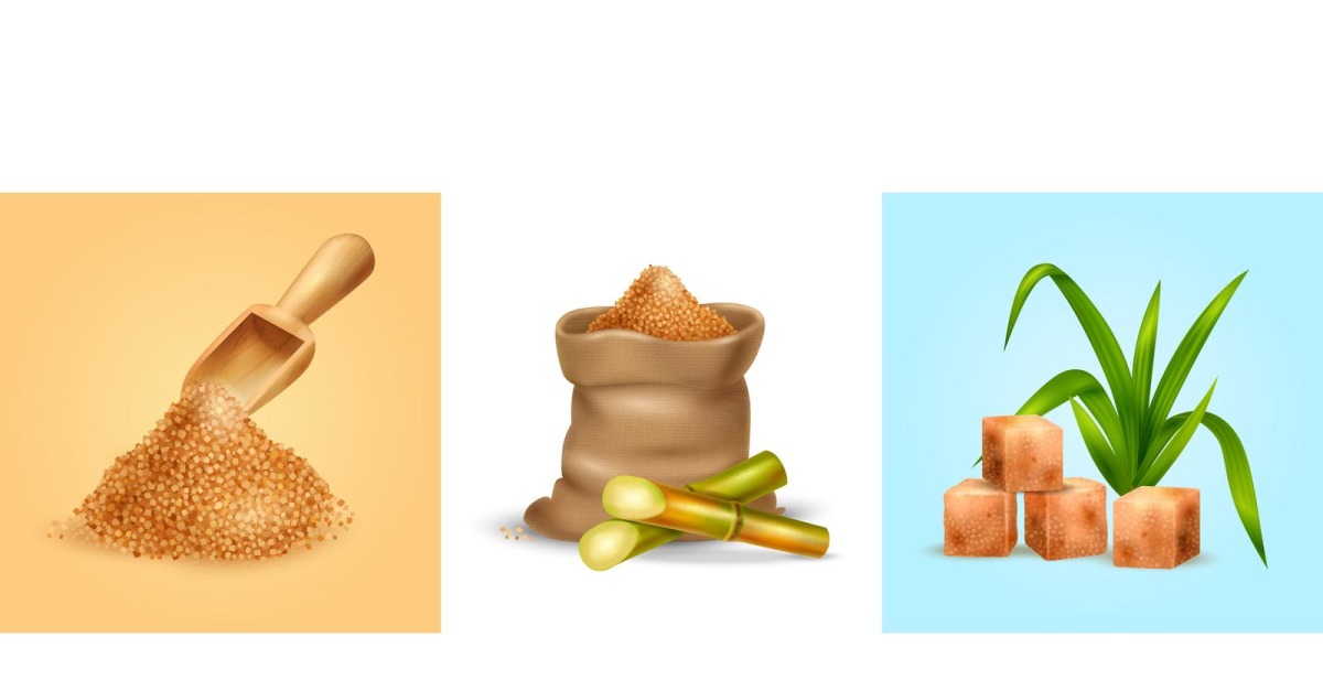 Realistic Sugar Cane Design Concept Vector Illustration Concept