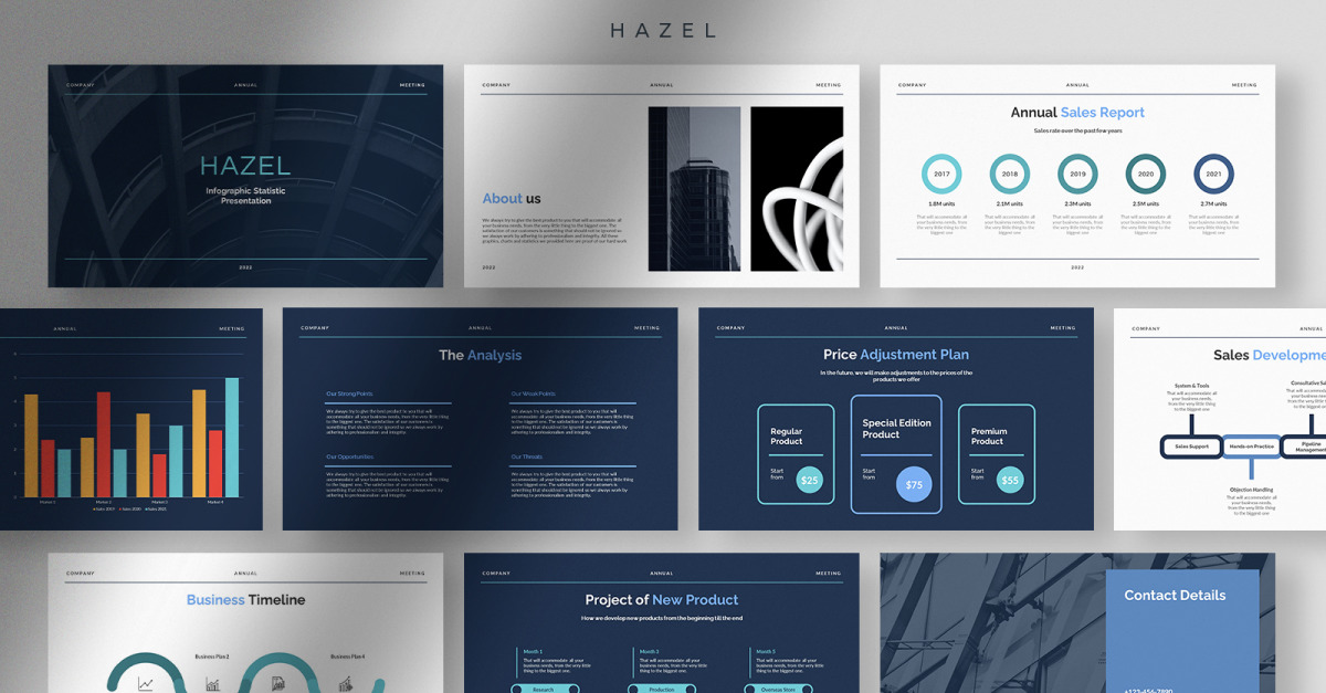 Hazel - Professional Modern Infographic Statistic Presentation