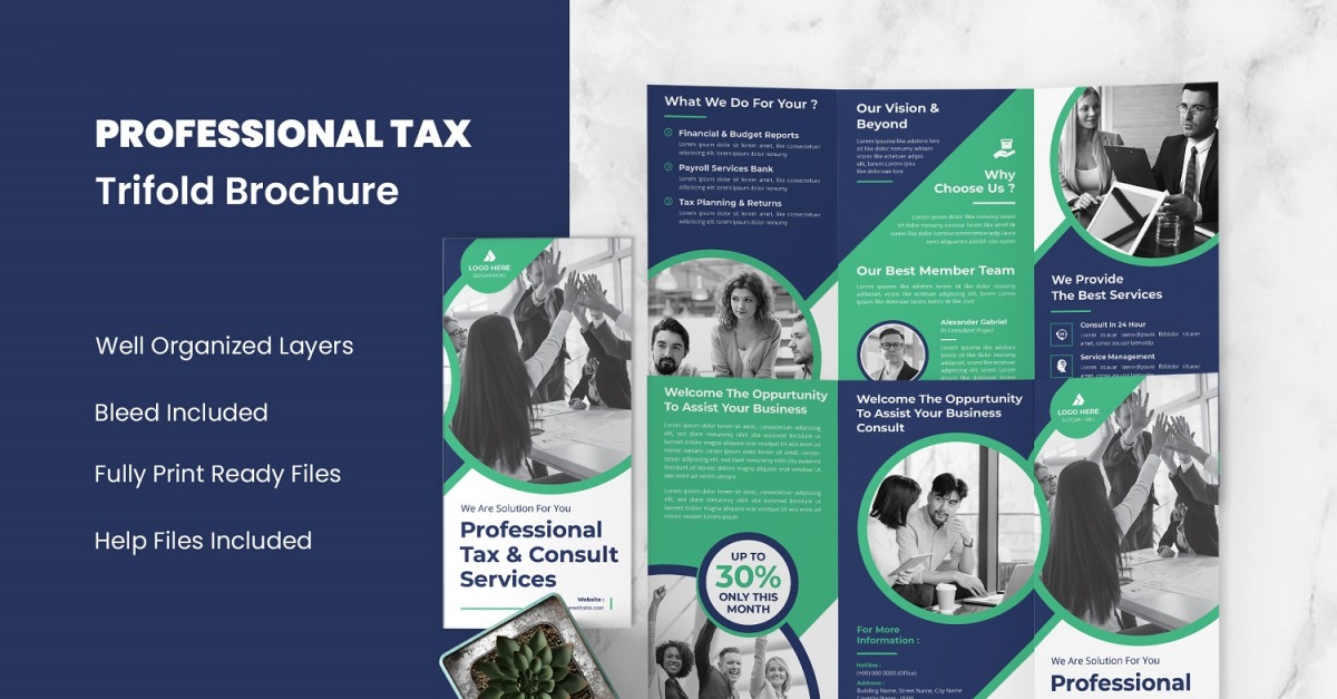 Professional Tax Flyer Trifold #208564 - TemplateMonster
