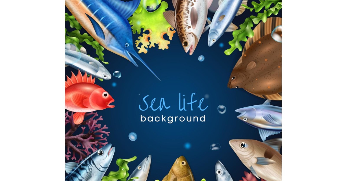 Realistic Fish Frame 210330518 Vector Illustration Concept