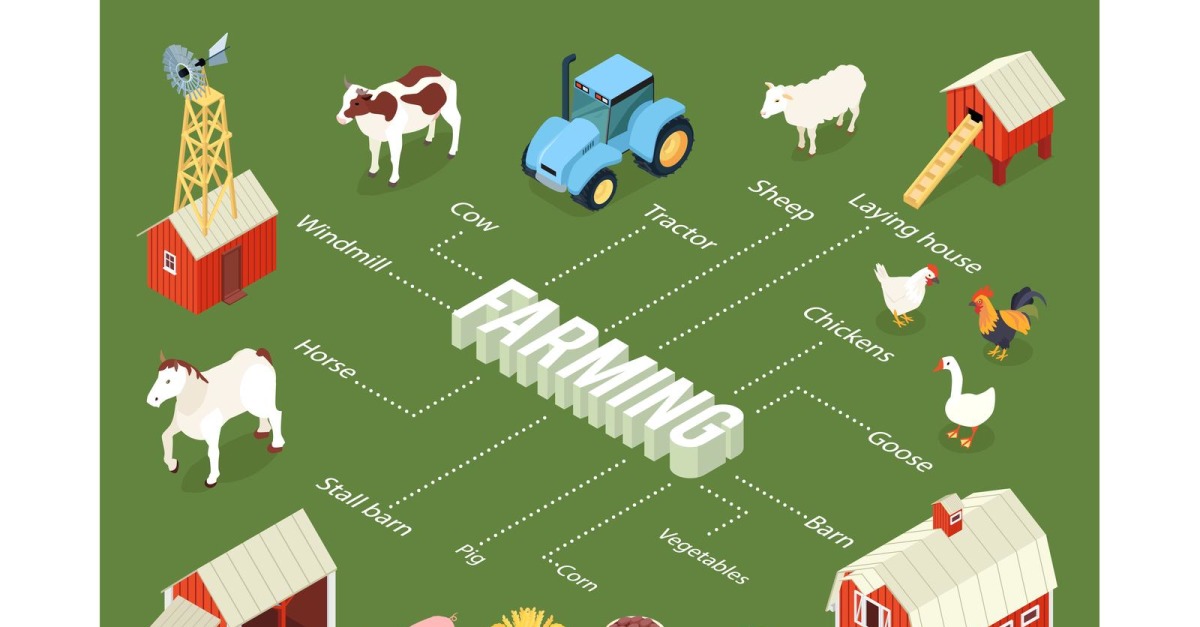 Isometric Farm Flowchart 210403205 Vector Illustration Concept