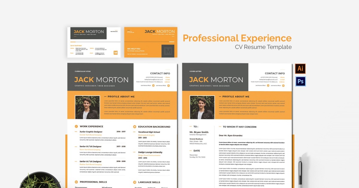 Professional Experience CV Resume Set - TemplateMonster