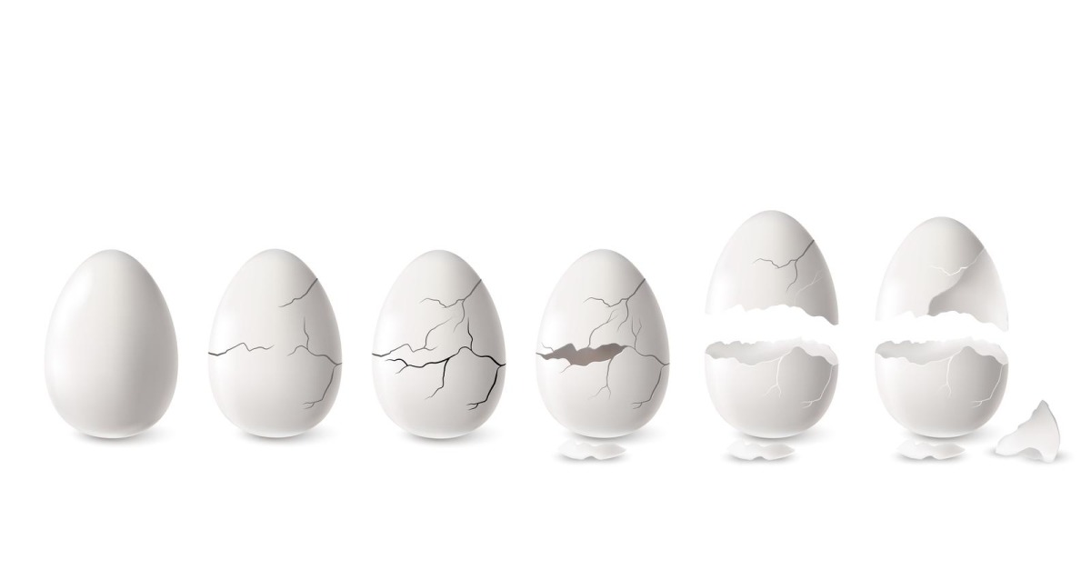 Realistic Cracked Egg Set 210230501 Vector Illustration Concept