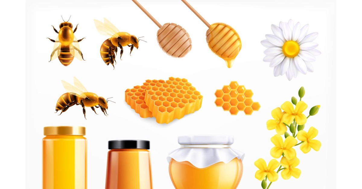 Honey Realistic Set 210130907 Vector Illustration Concept