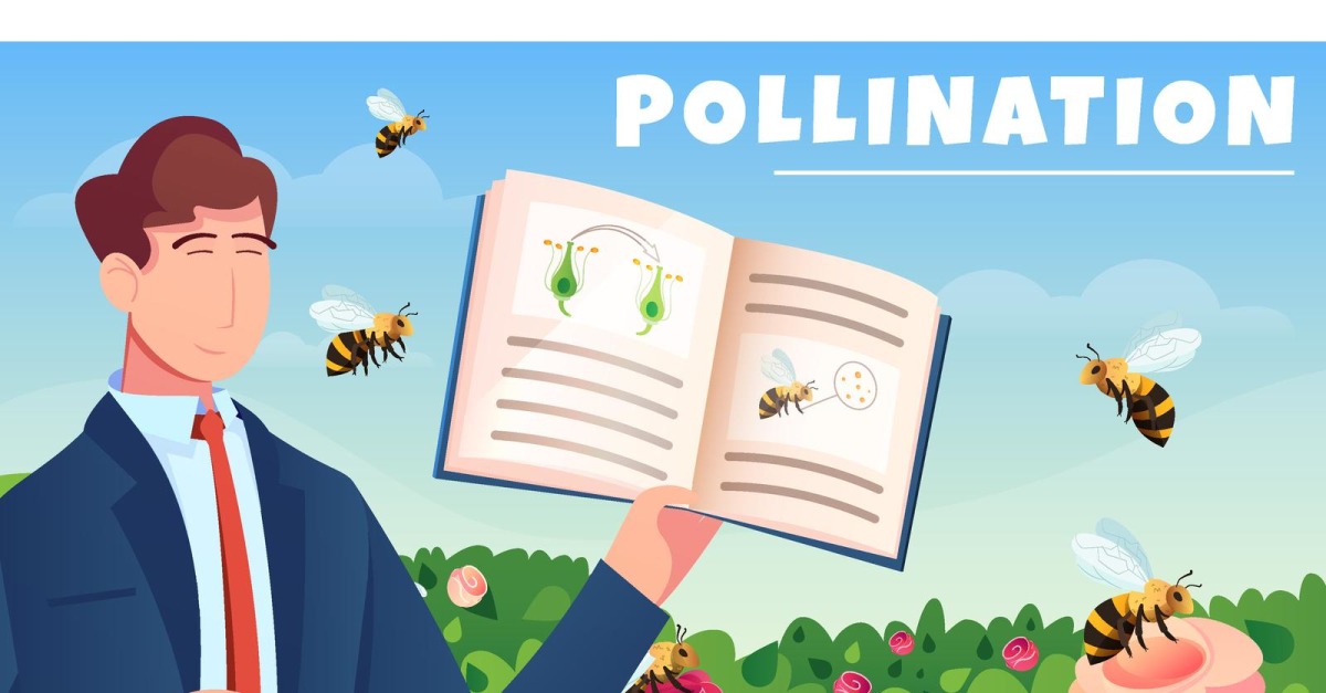 Pollination Flat 210251103 Vector Illustration Concept