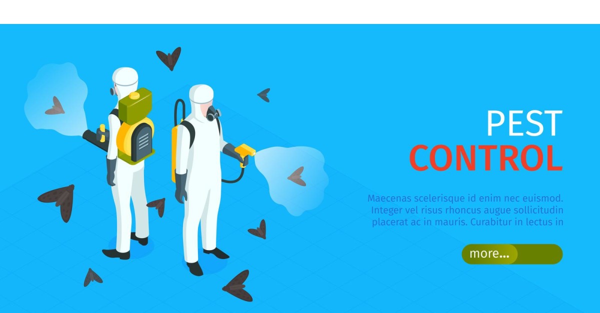 Isometric Pest Control Horizontal Banner 201050406 Vector Illustration ...