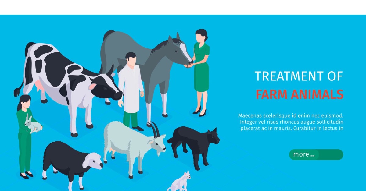 Isometric Veterinary Horizontal Banner 201050414 Vector Illustration ...