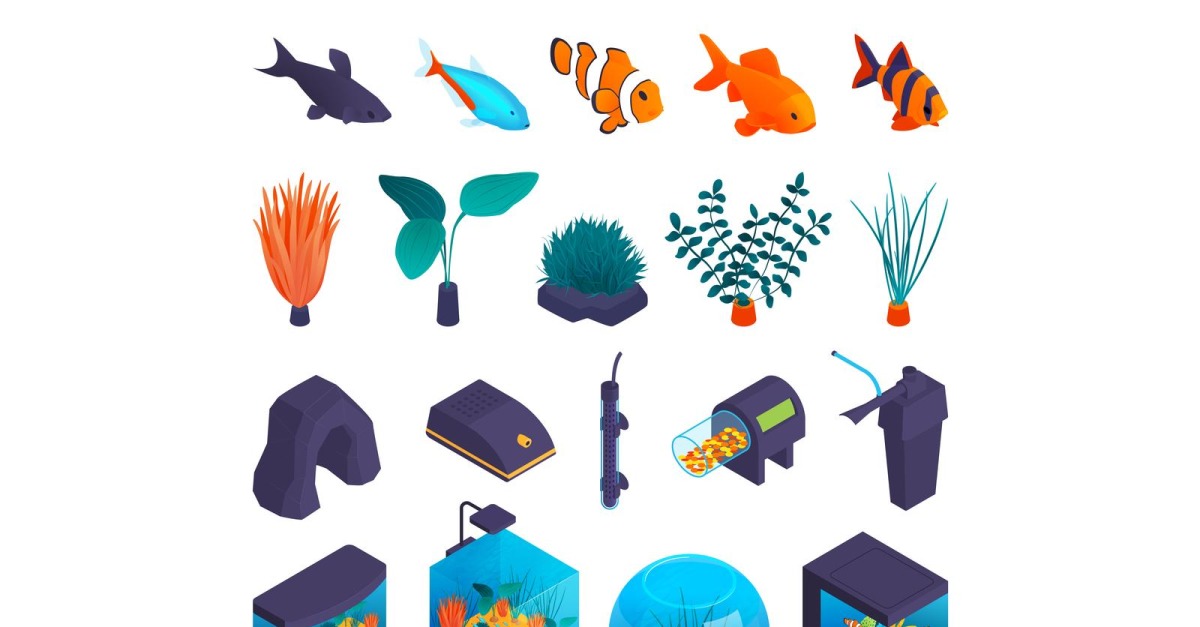 Isometric Aquarium Set 201150428 Vector Illustration Concept