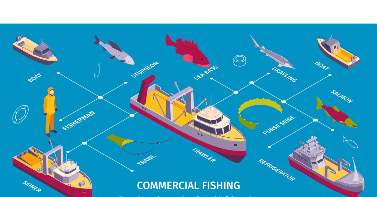 Isometric Commercial Fishing Infographics 201150411 Vector Illustration ...