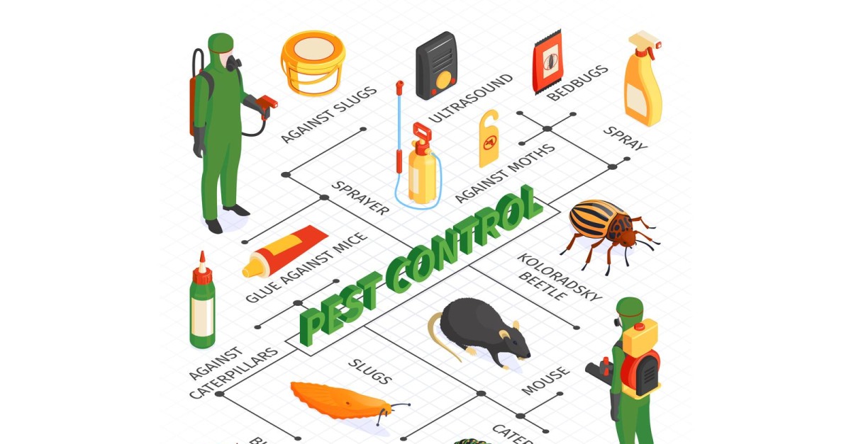 Isometric Pest Control Flowchart 201050405 Vector Illustration Concept