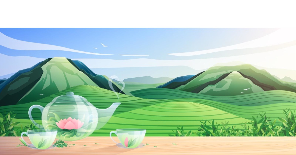 Natural Tea Production Flat Composition 1 201030931 Vector Illustration ...