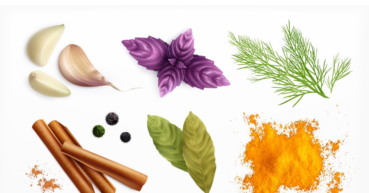 Spices And Herbs Realistic Set 201030908 Vector Illustration Concept