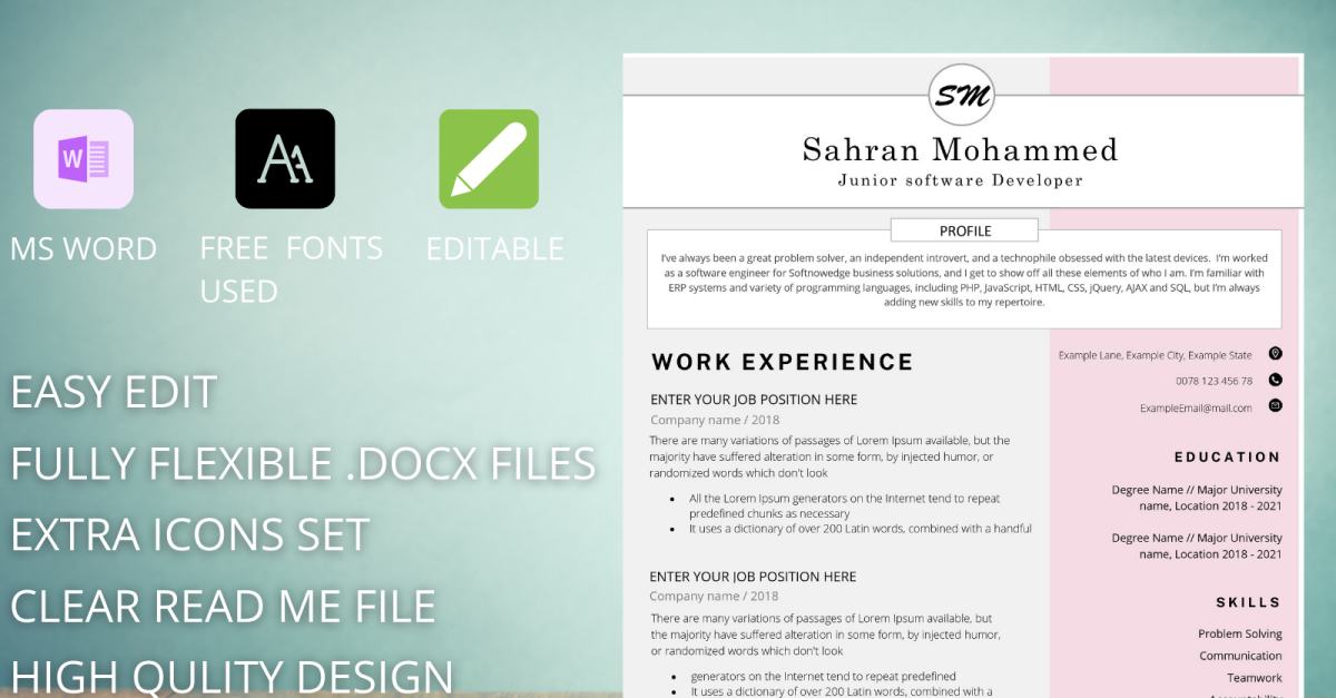 Designer Pro - Resume Template #216001 - TemplateMonster