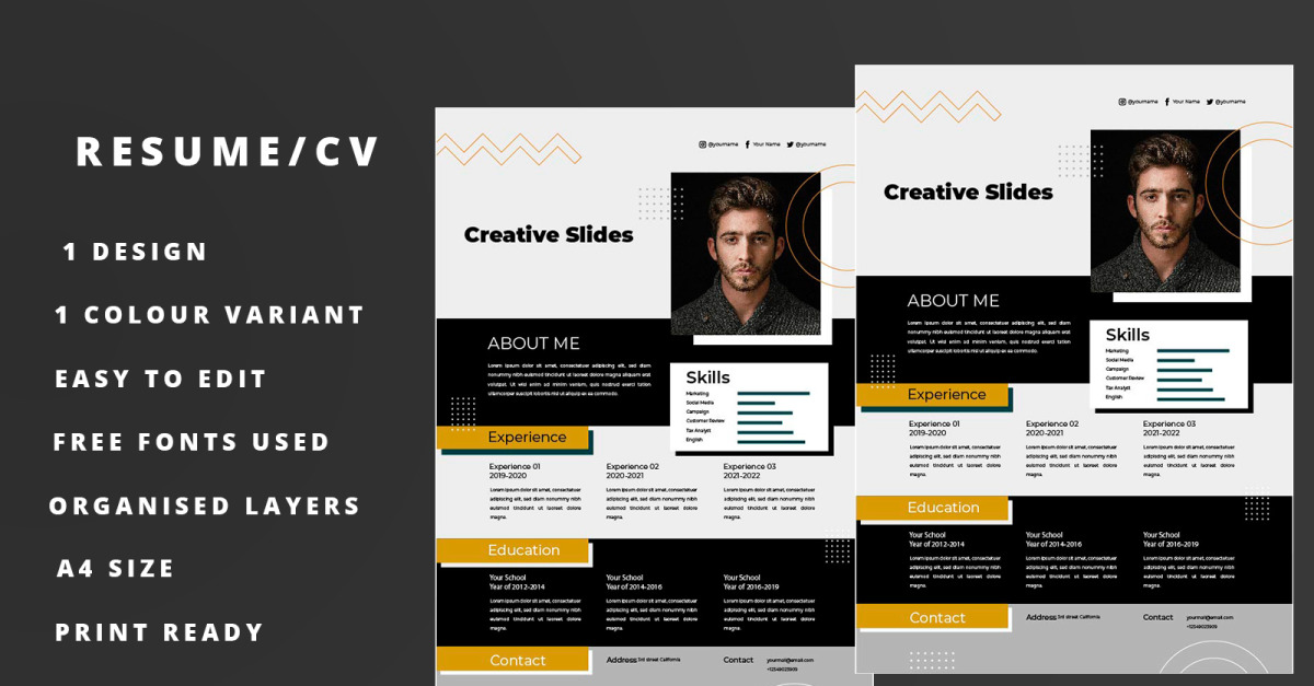 Nicky Academy - Minimalistic CV Resume Template