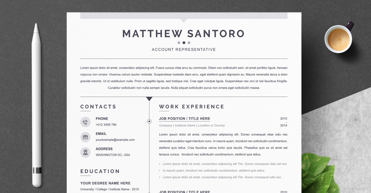 Matthew / Clean Resume Template #220156 - TemplateMonster