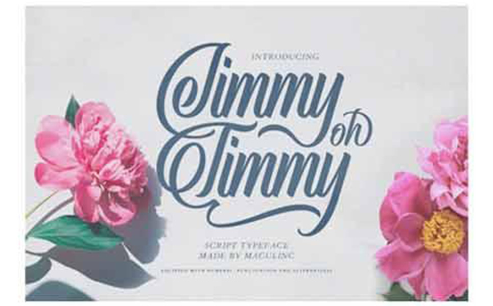 Police Jimmy Oh Timmy - Police Jimmy Oh Timmy