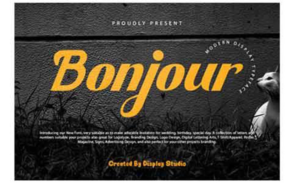 Fuente Bonjour - Fuente Bonjour #223034 - TemplateMonster