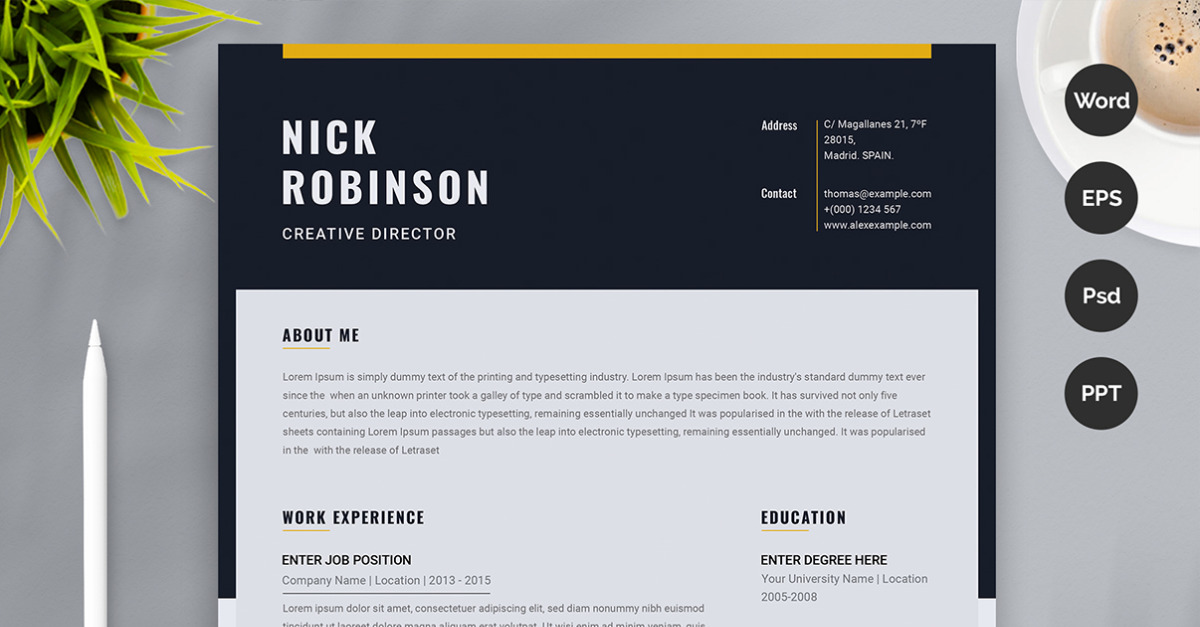 Nick Robinson Resume CV Template #225689 - TemplateMonster