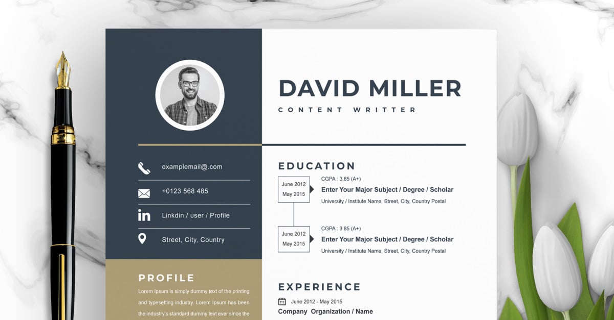 David Miller / Resume Template #226128 - TemplateMonster