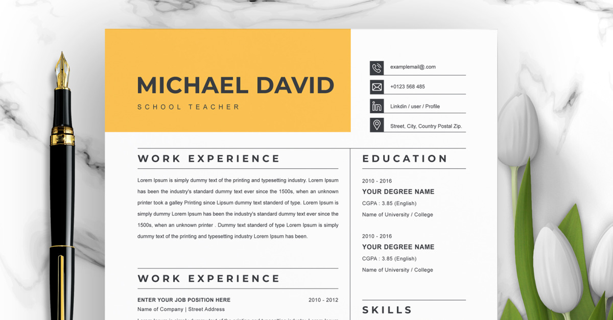 Michael David / Resume Template #226115 - TemplateMonster