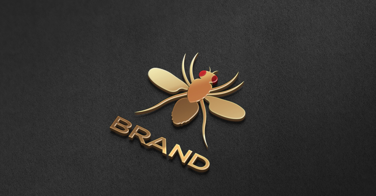 Fly Logo | Fly vector Template #229219 - TemplateMonster
