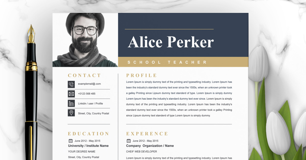 Alice Perker / Resume Template #230765 - TemplateMonster