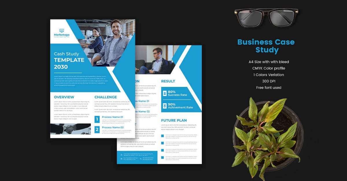 Professional Case Study Template For Any Kind Of Agency Business