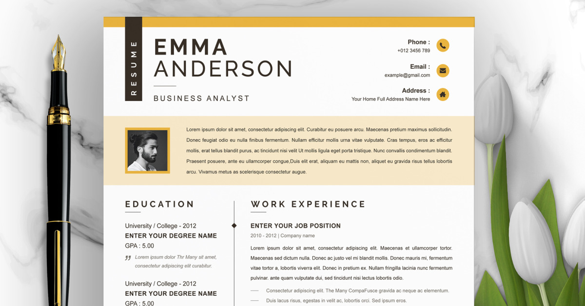 Emma Anderson / Resume Template #234084 - TemplateMonster