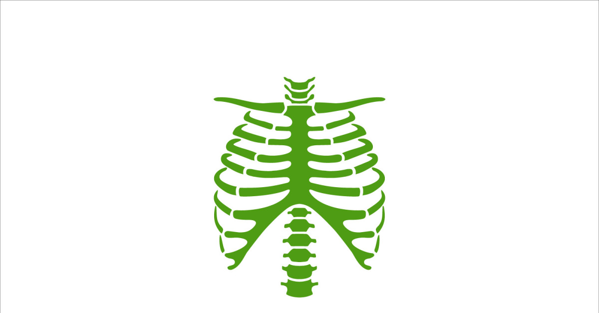 Rib and backbone vector template #235435 - TemplateMonster